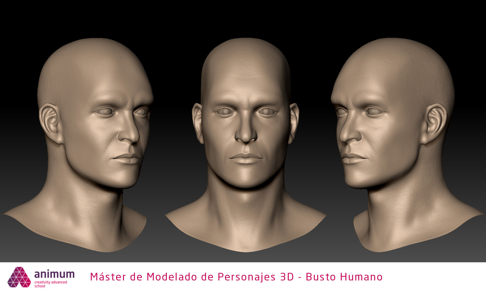 ArtStation - Busto humano