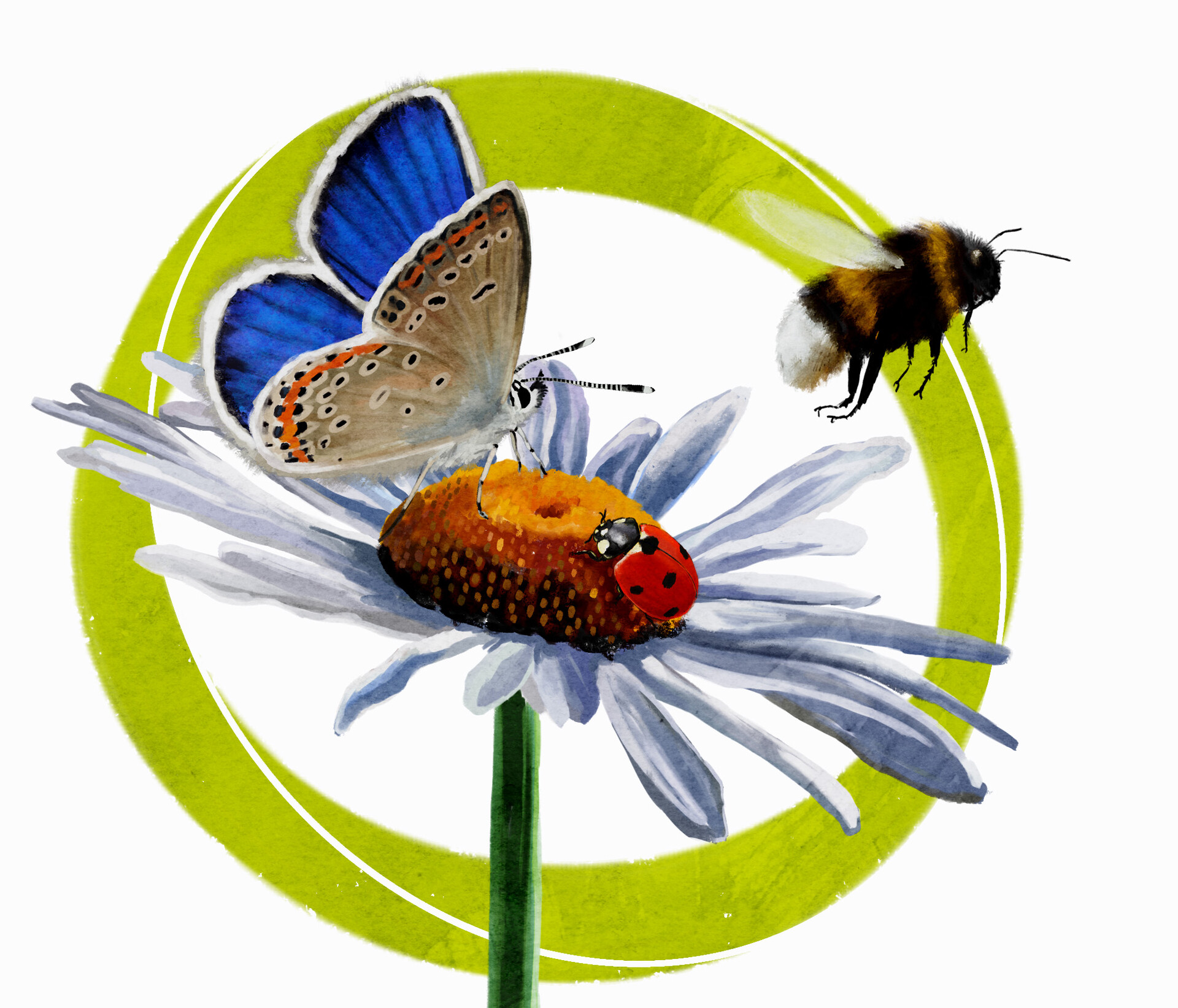 ArtStation - Insect Alliance "Logo" Illustration Design