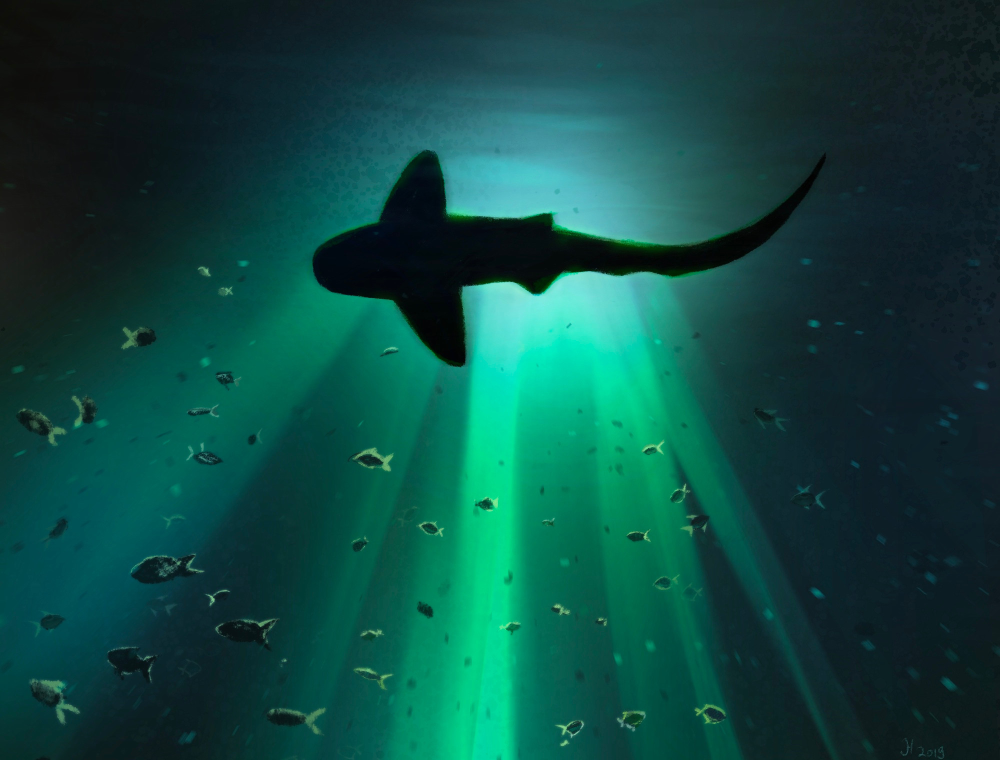 Quinn Herrmann - Photo Studies Collection Vol 2