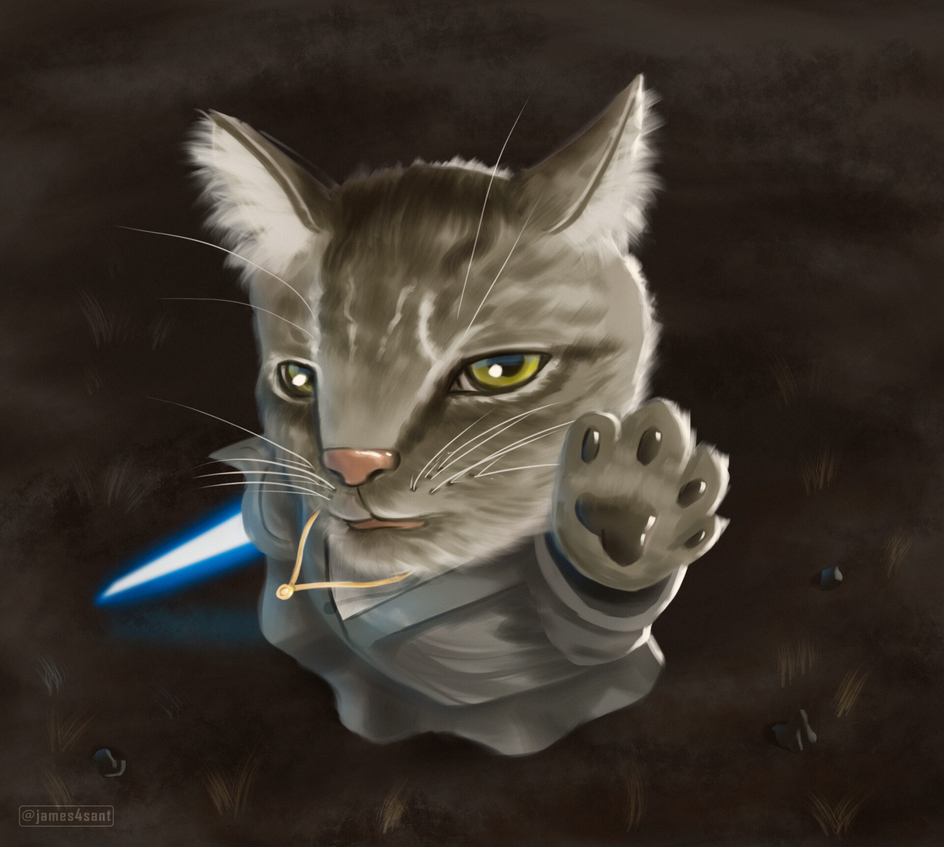 Jedi Cat