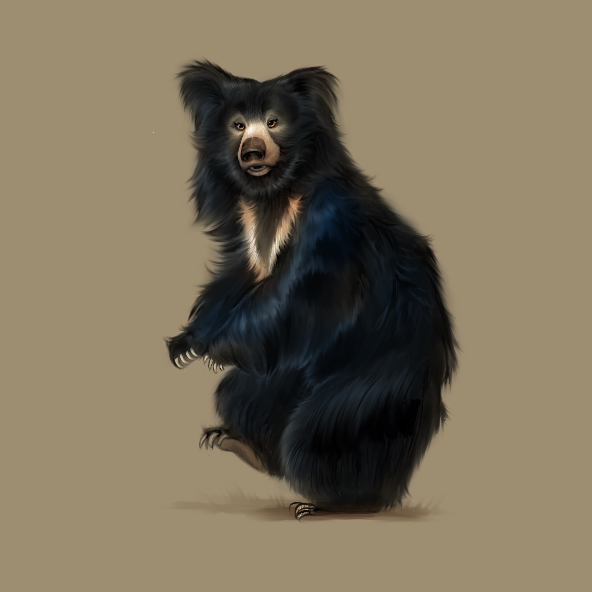 cute sloth bear drawing