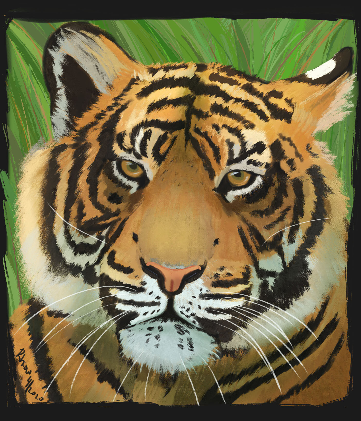ArtStation - Tiger Study 2