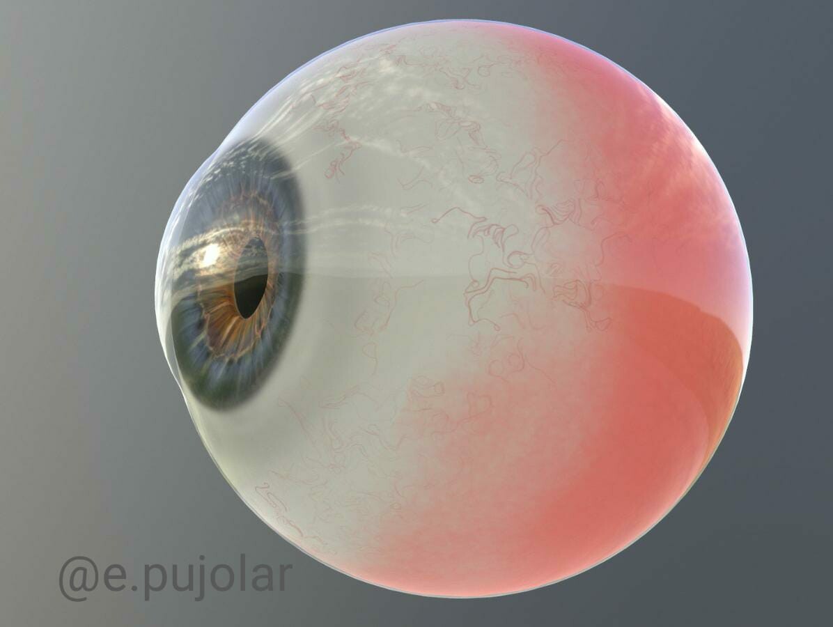 ArtStation - Eye Ball
