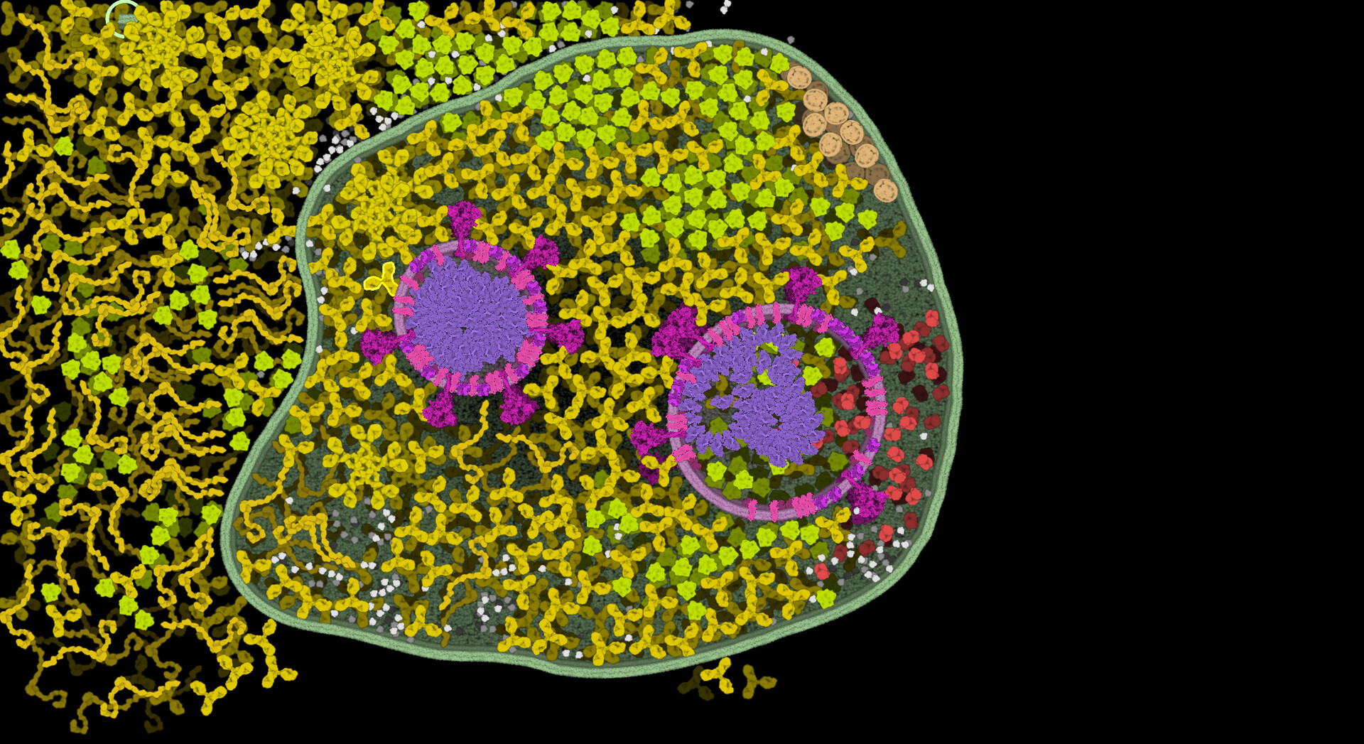 ArtStation - Cellpaint software