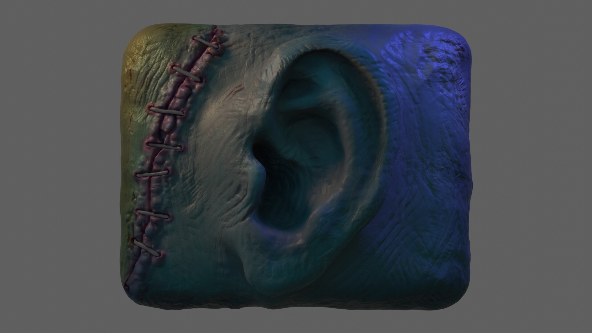 ArtStation - ear study