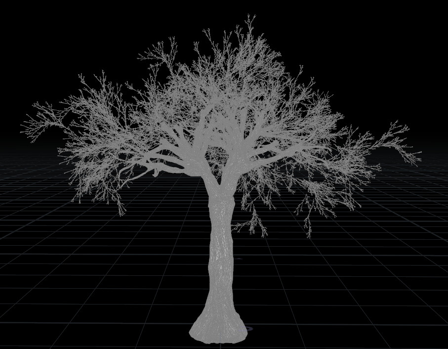 Ethan Renfrey - L-System Trees Using Houdini