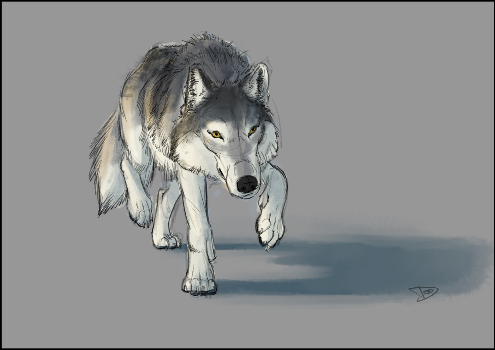 Davide Donghi - Wolf Study