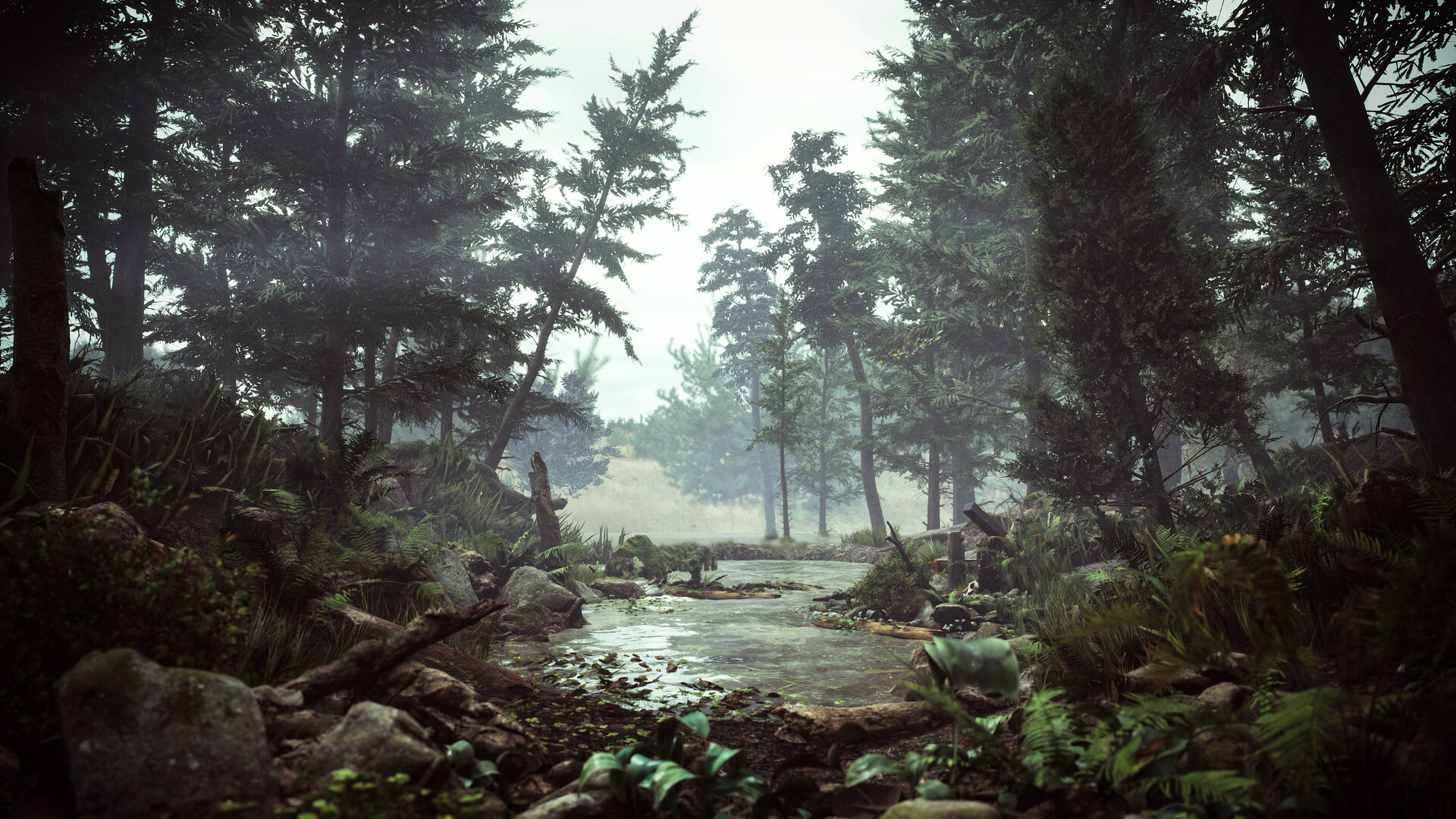 ArtStation - Photoreal forest environment created with Unreal Engine 4.24