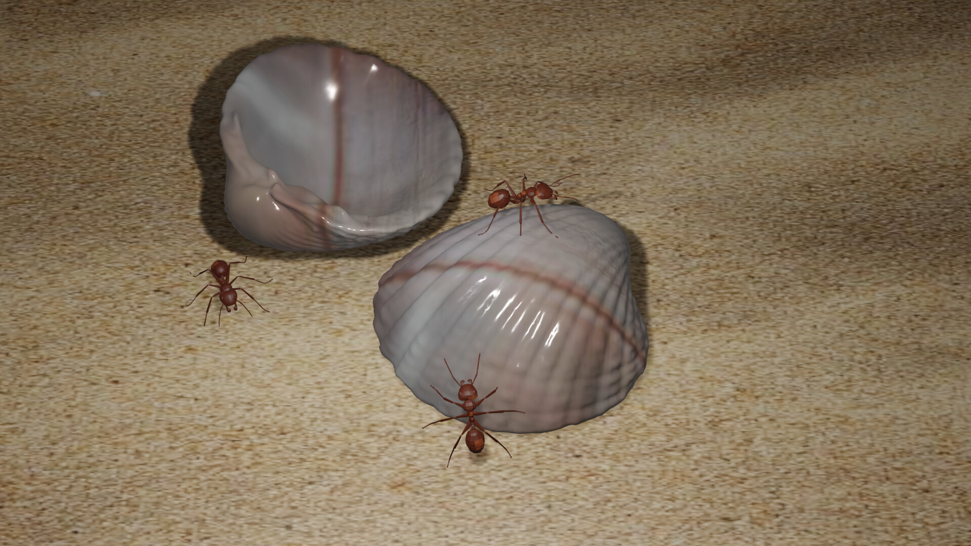 ArtStation - Seashell