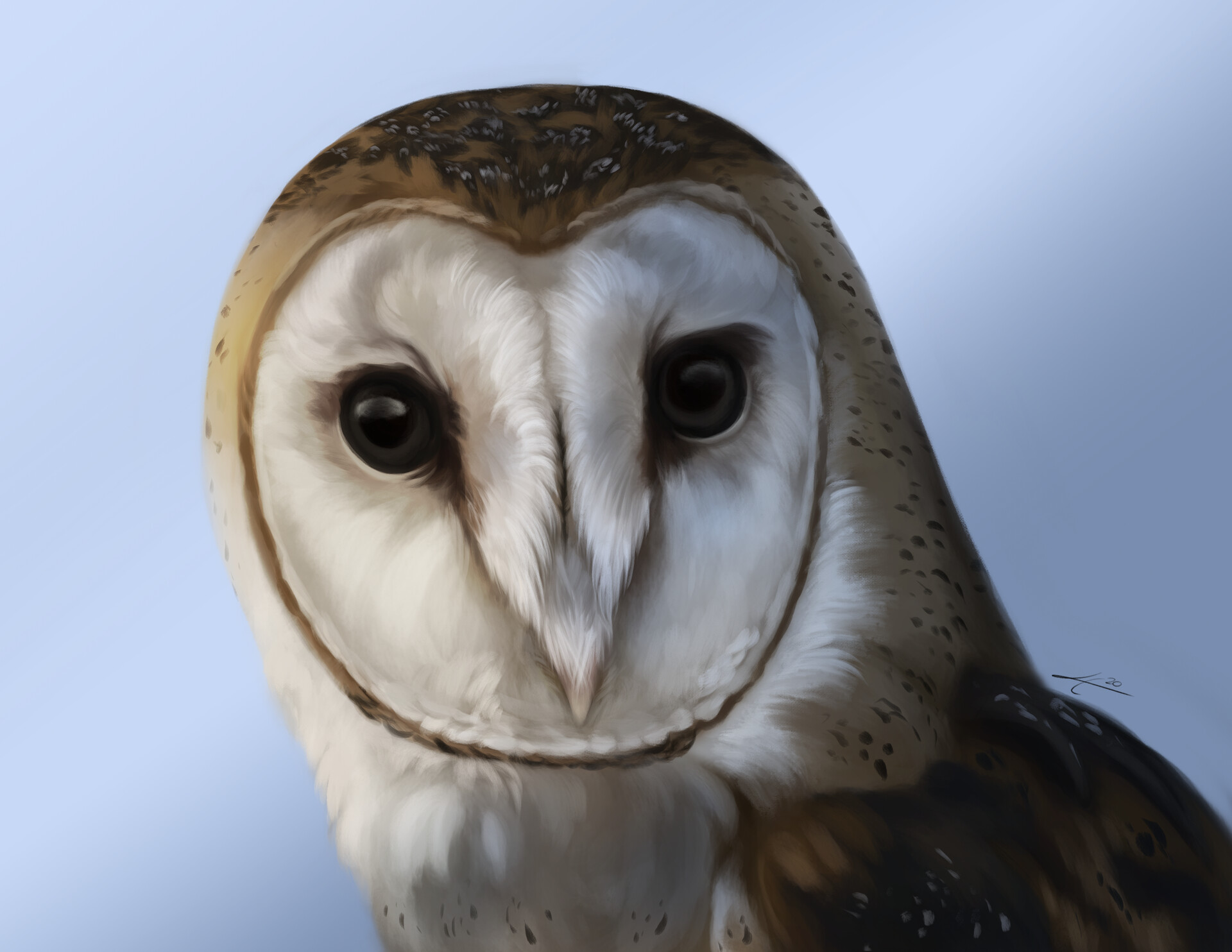 ArtStation - Owl Portrait