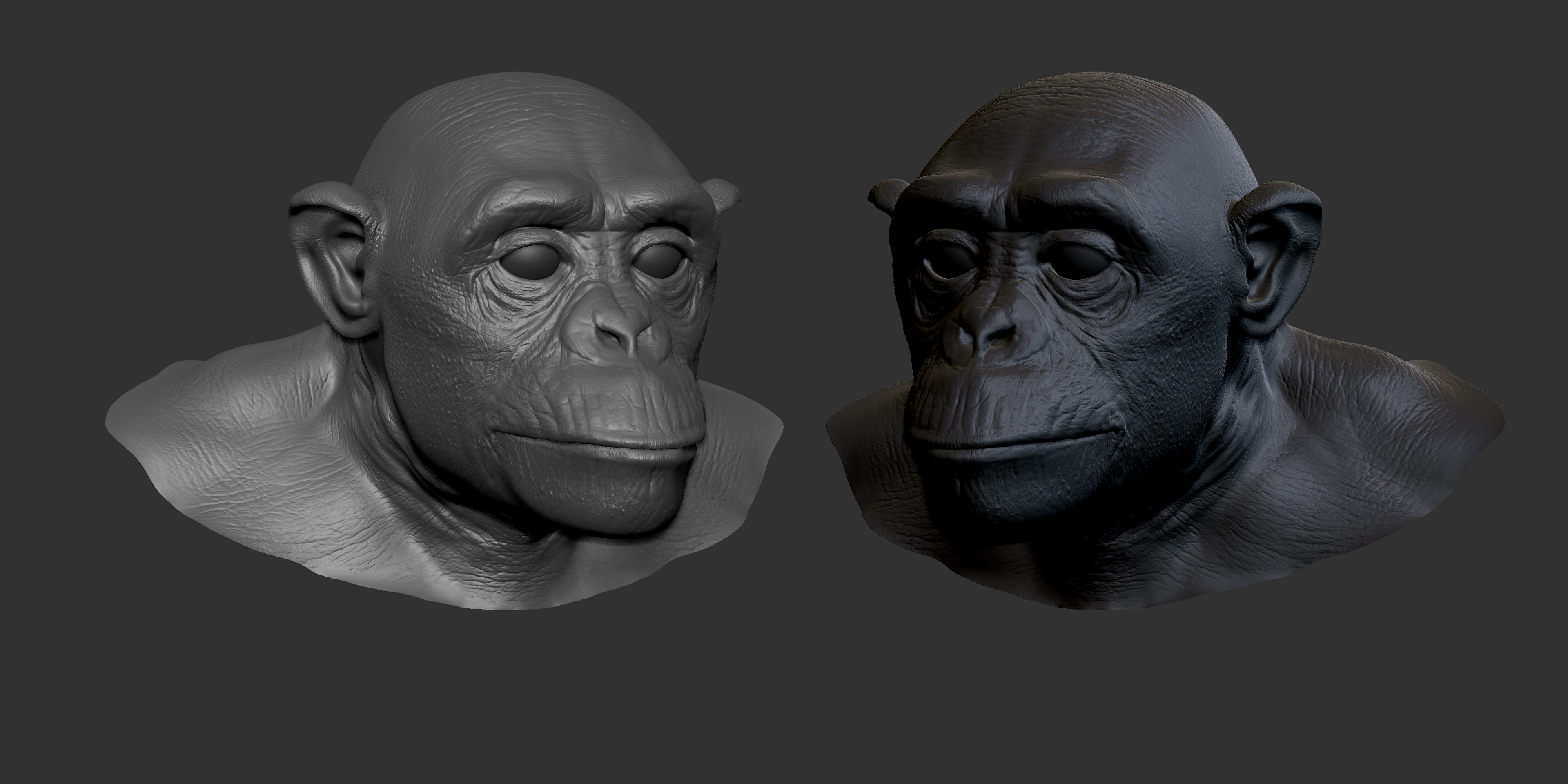 SUBHASHREE KUNDU - 3D Chimp Head