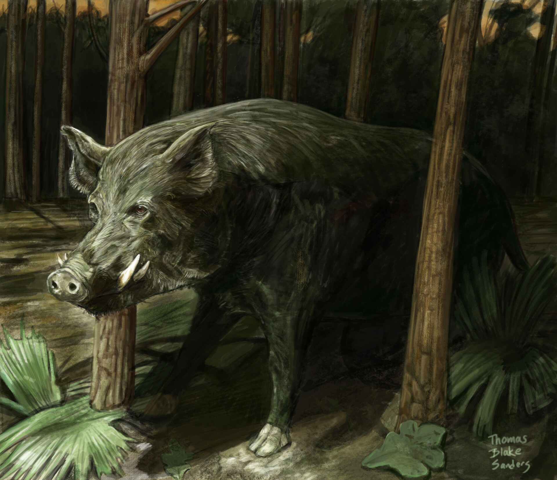 ArtStation - Wild Boar