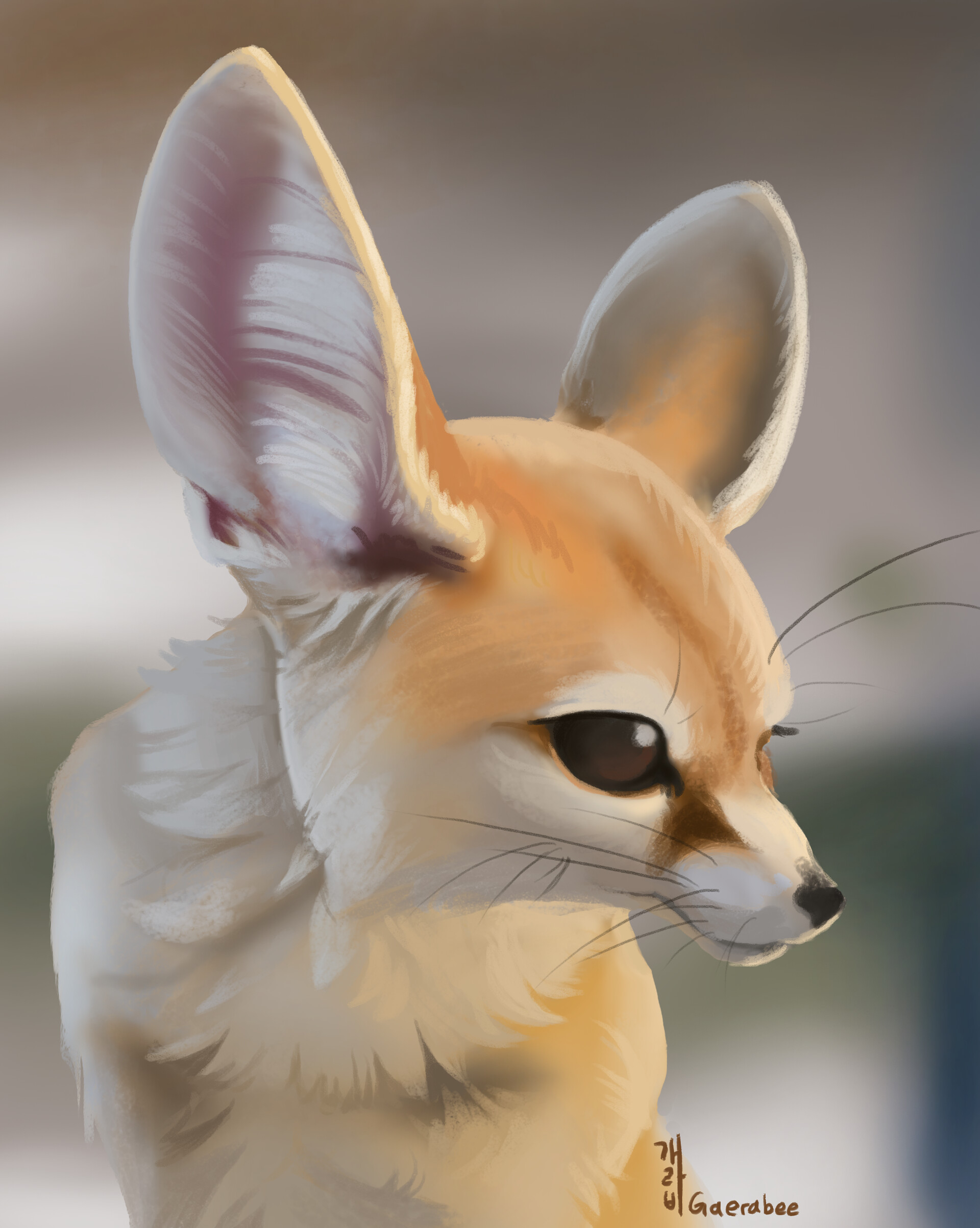 ArtStation - fennec fox