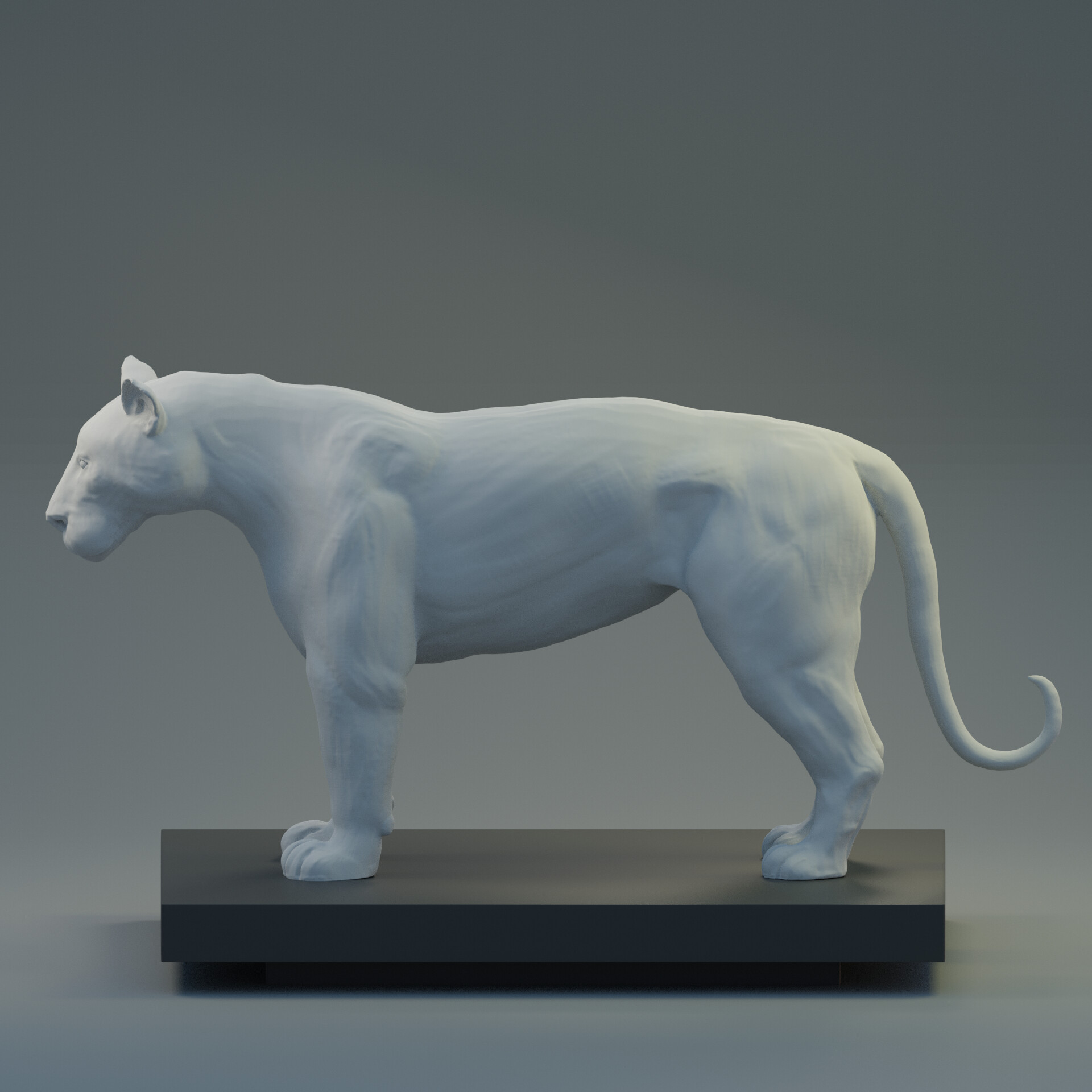 ArtStation - Tiger's anatomy