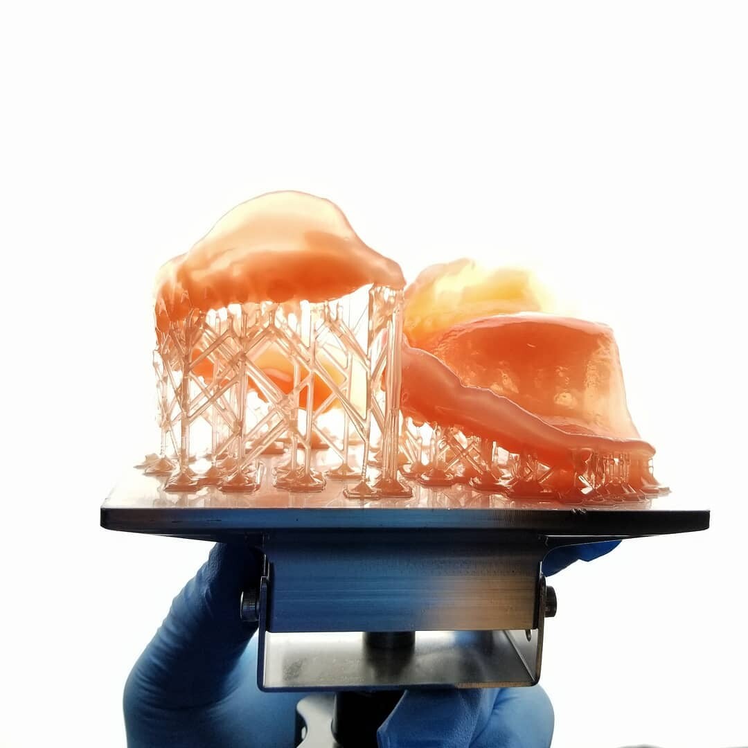 Renzo Zanin - Denture Teeth - Ivory Digital Denture Software