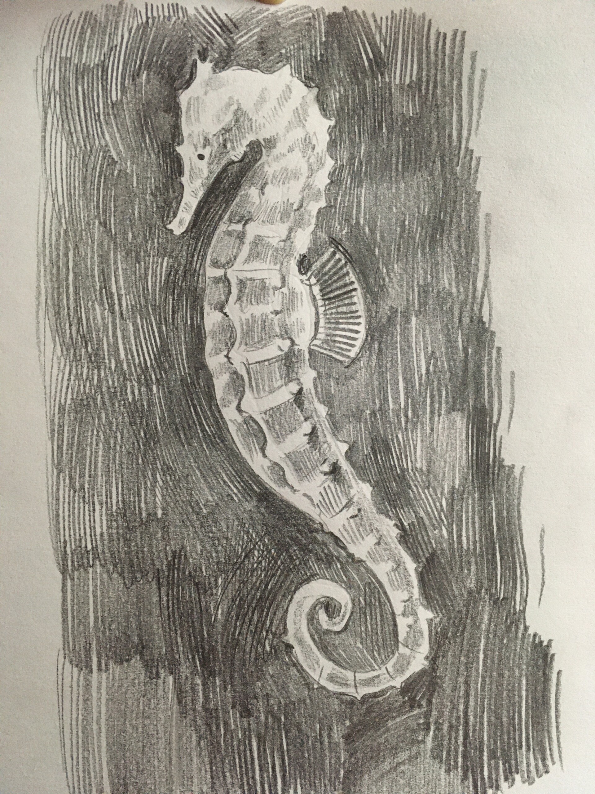 ArtStation - Seahorse