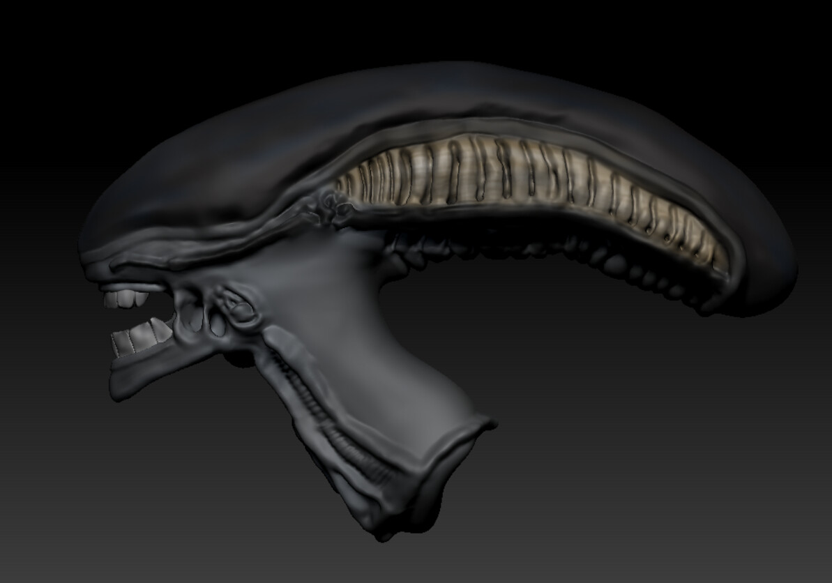 Jordan Lilly - Xenomorph Model