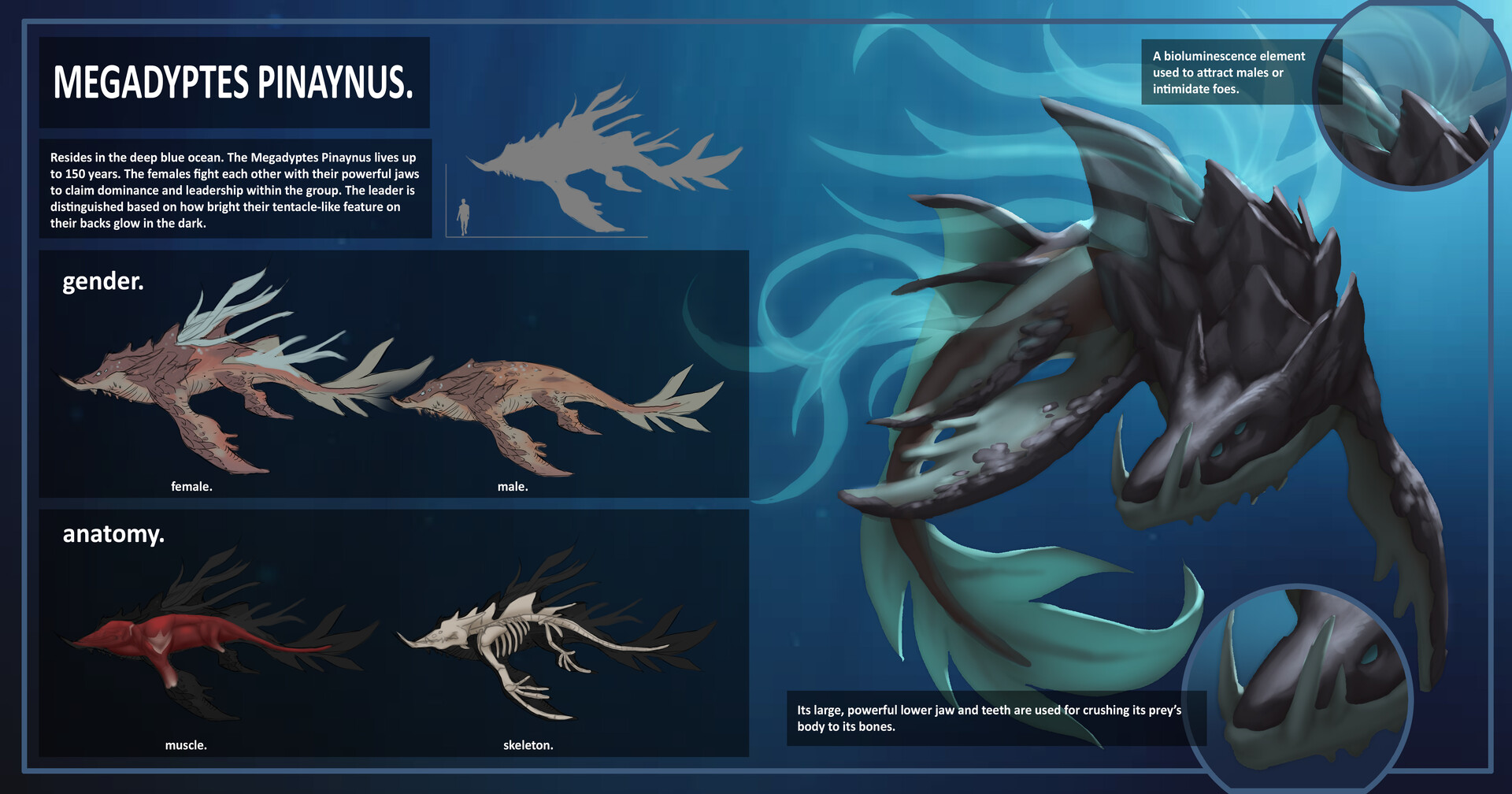 ArtStation - Sea Creature Design