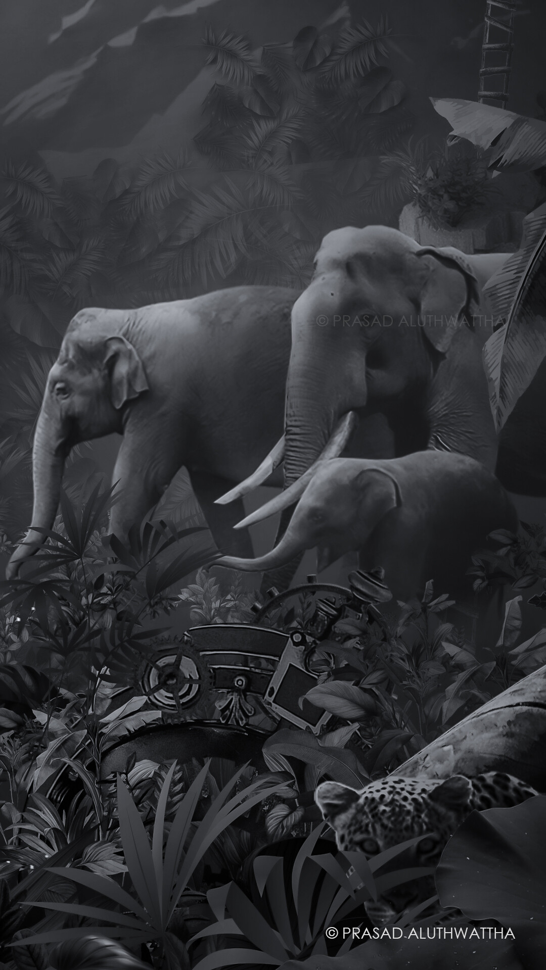 Prasad Aluthwattha - The nature of the Buddhas