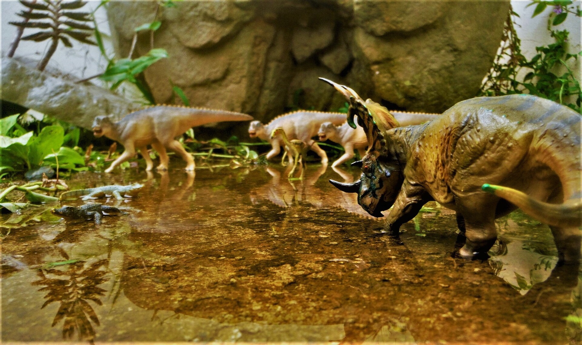 Jose R. Vazquez Rodriguez - Spinops sternbergorum 2020