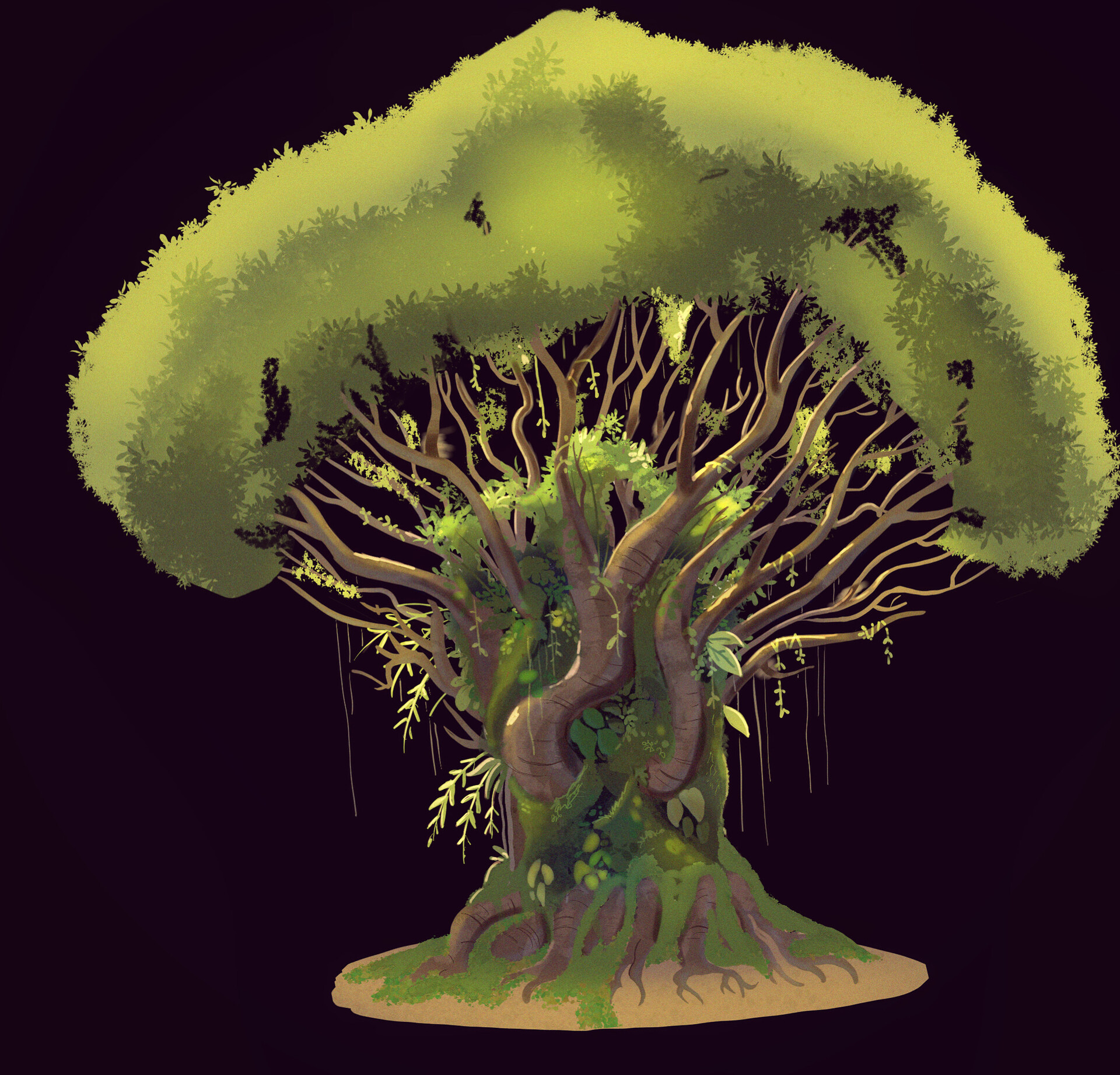 Nicole Fortes - Tree studies