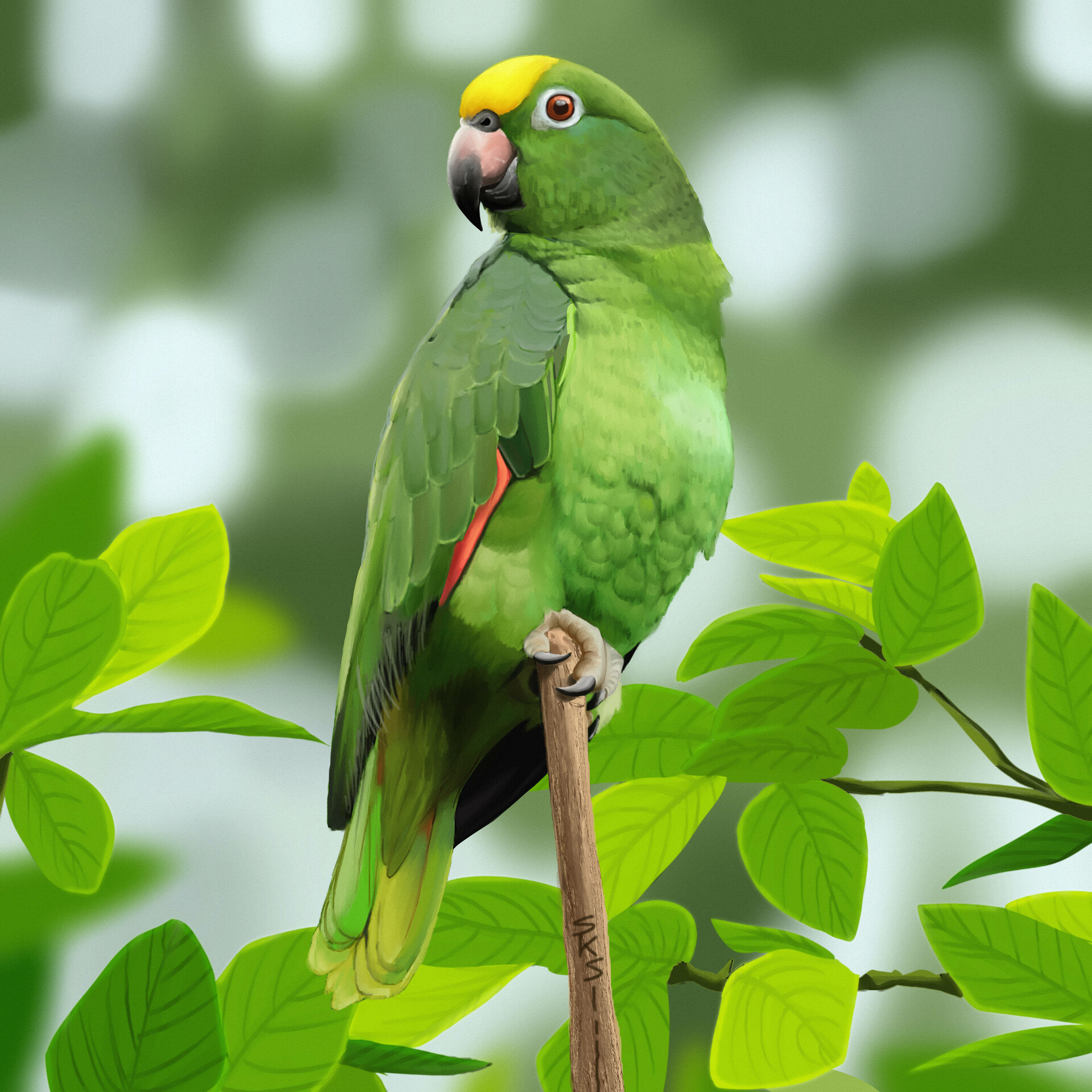 Mikhail Moore - Yellow-Headed Amazon Parrot