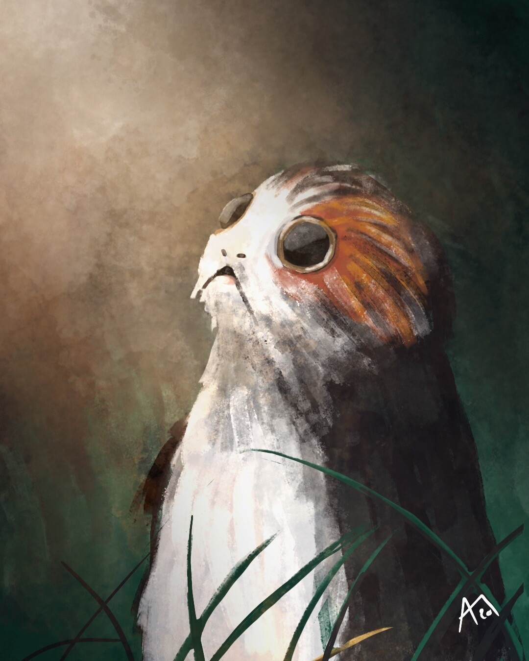 ArtStation - Porg, Fan art