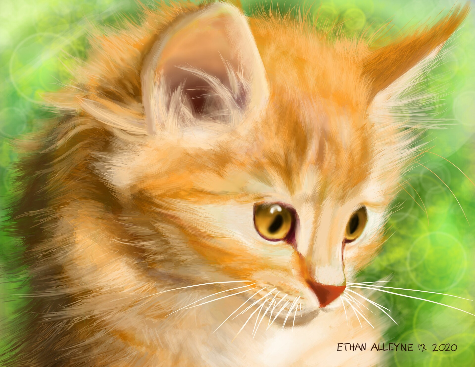 ArtStation - Kitten Pet Portrait Demo Process