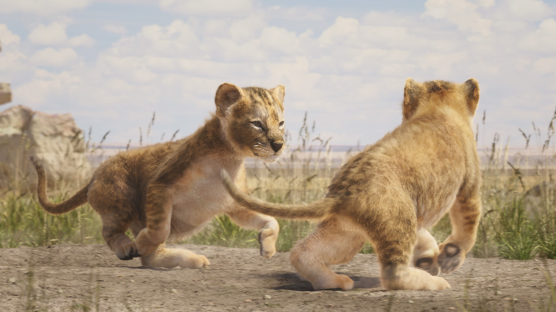 Igor Colaiacovo - Lions Fight