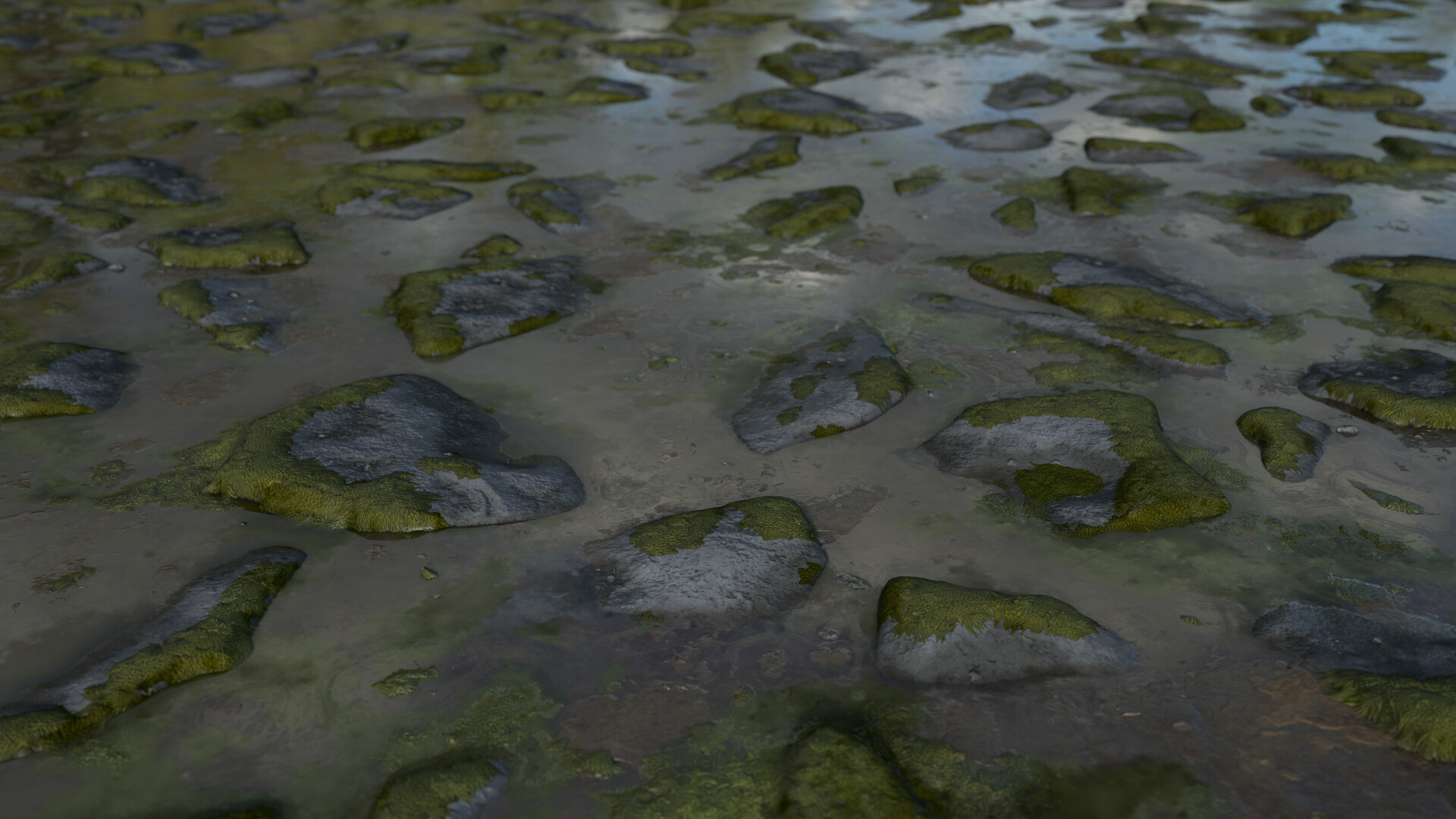 ArtStation - Mossy Water texture