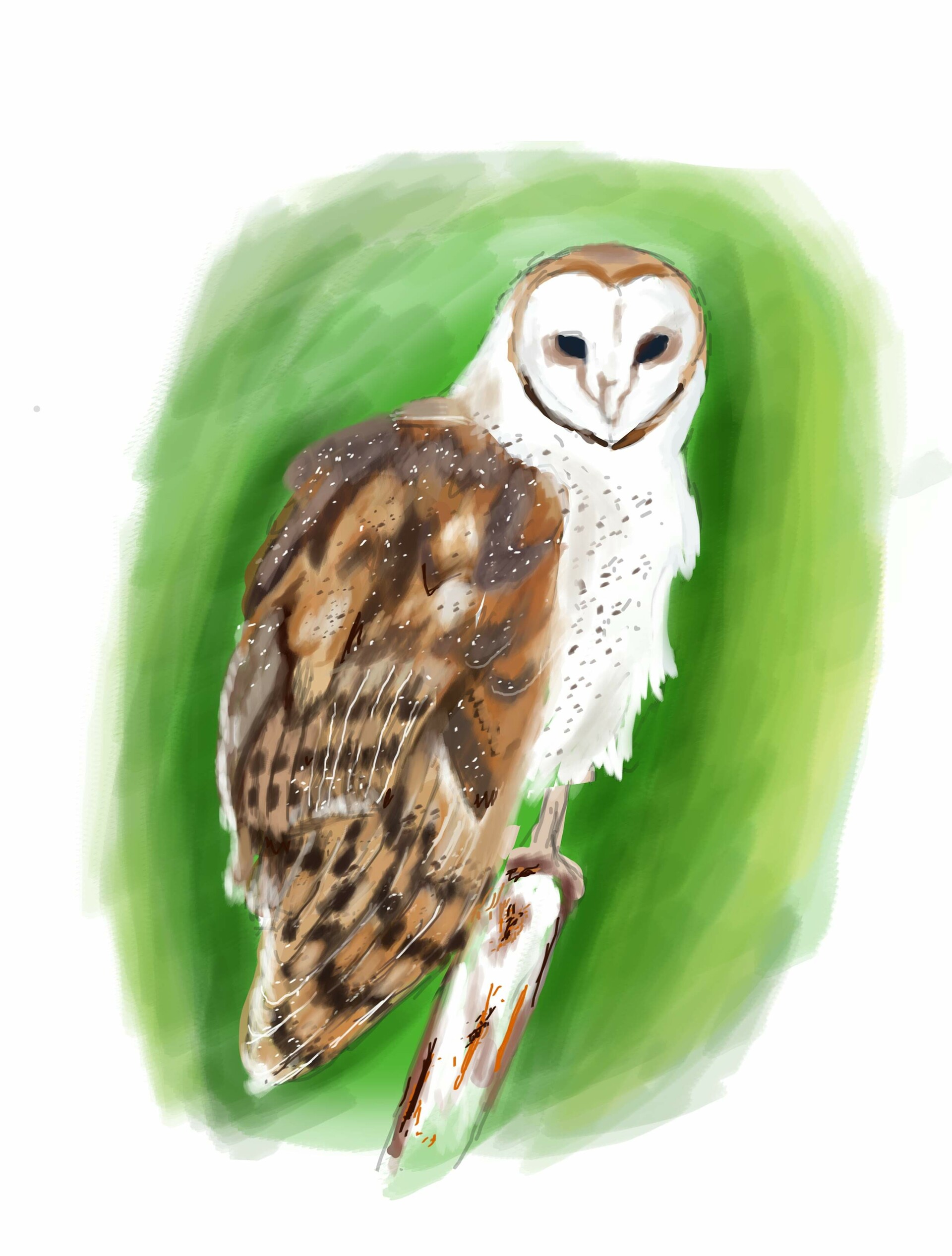 ArtStation - Digital owl