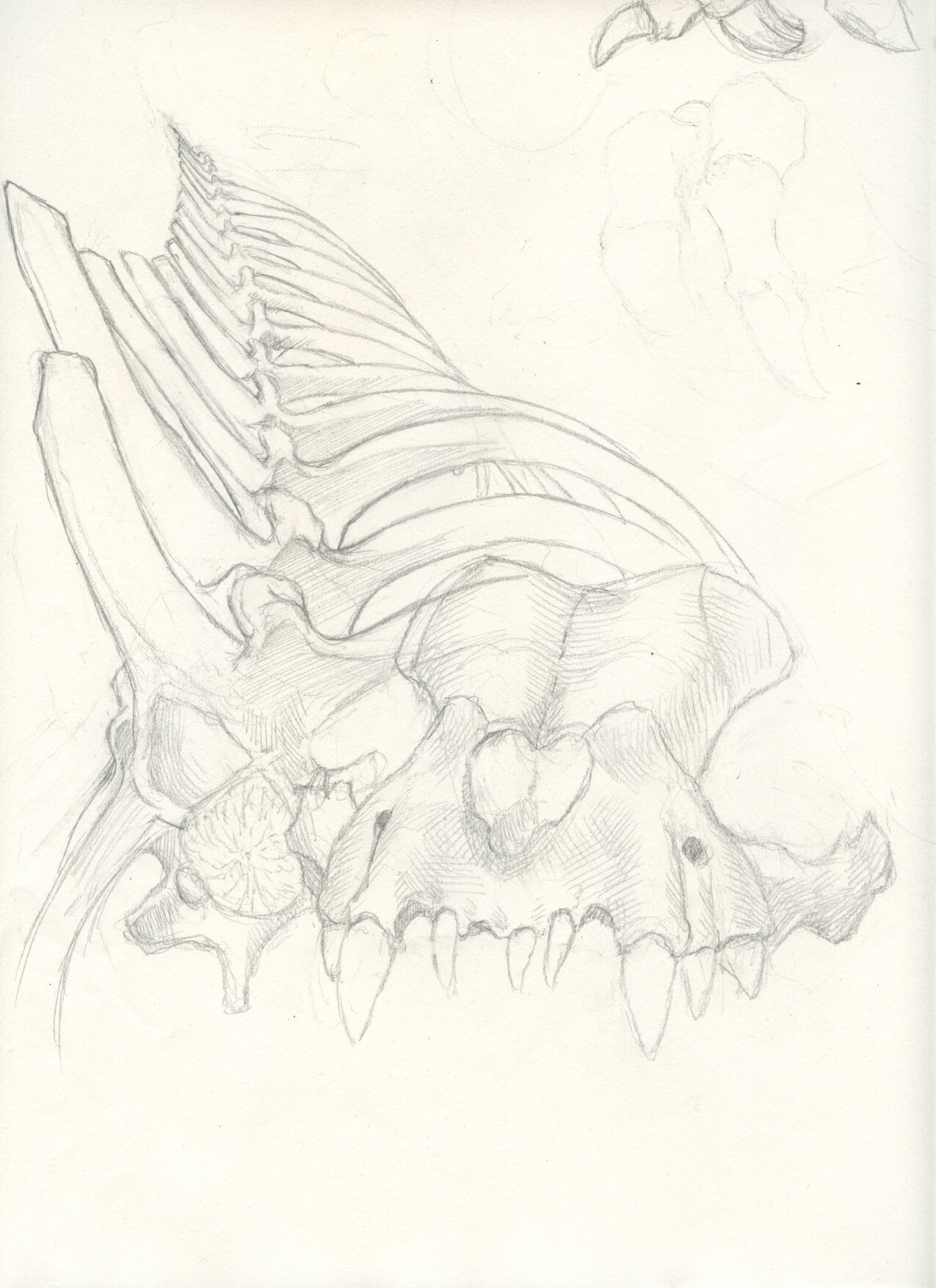 Paul Limgenco - Dathomir