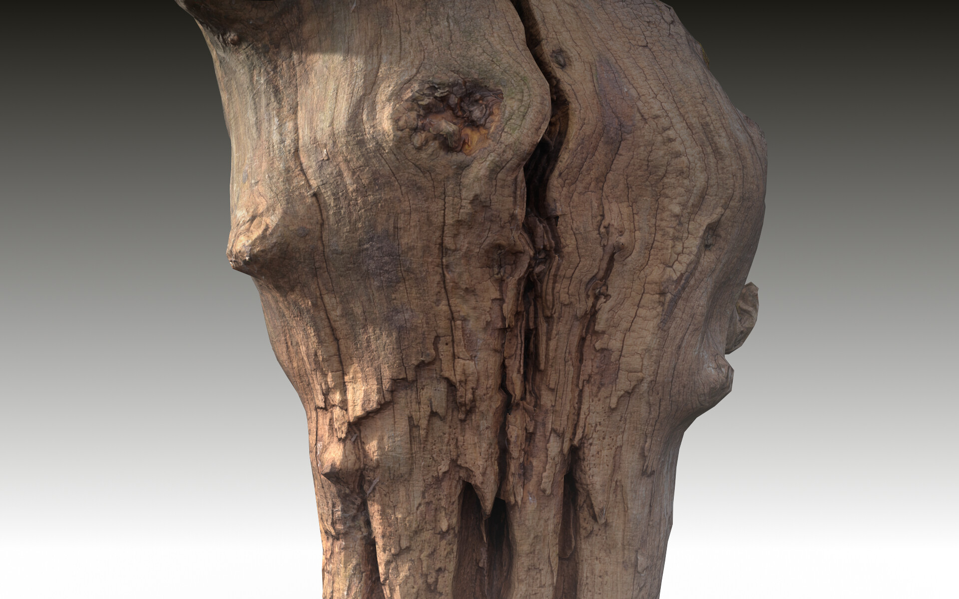 Ollie Simmonds - Twisted Tree Stump Scan