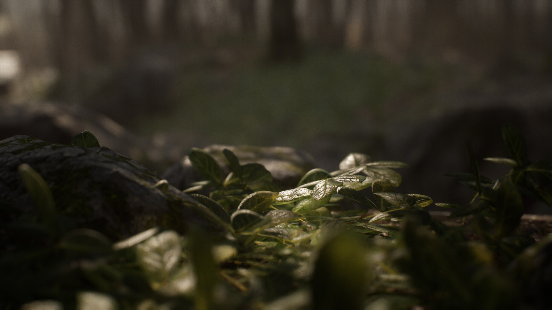 Robert Berg - Wind's Howling, Procedural UE4 Environment