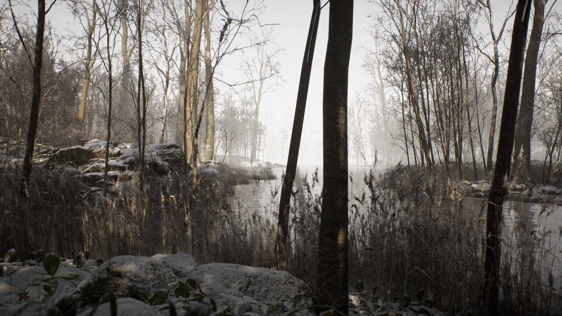 Robert Berg - Wind's Howling, Procedural UE4 Environment