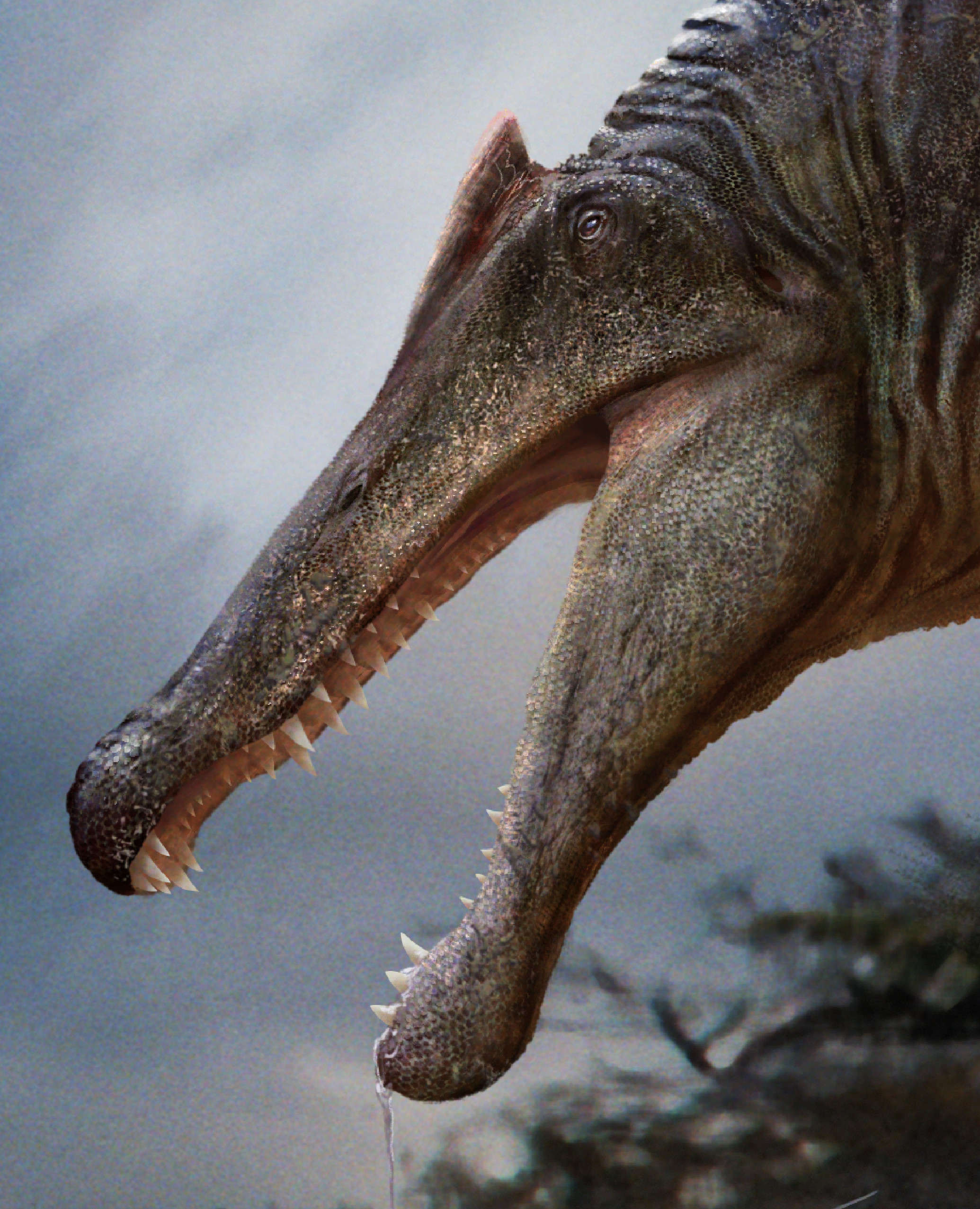 RJ Palmer - Spinosaurus 2020