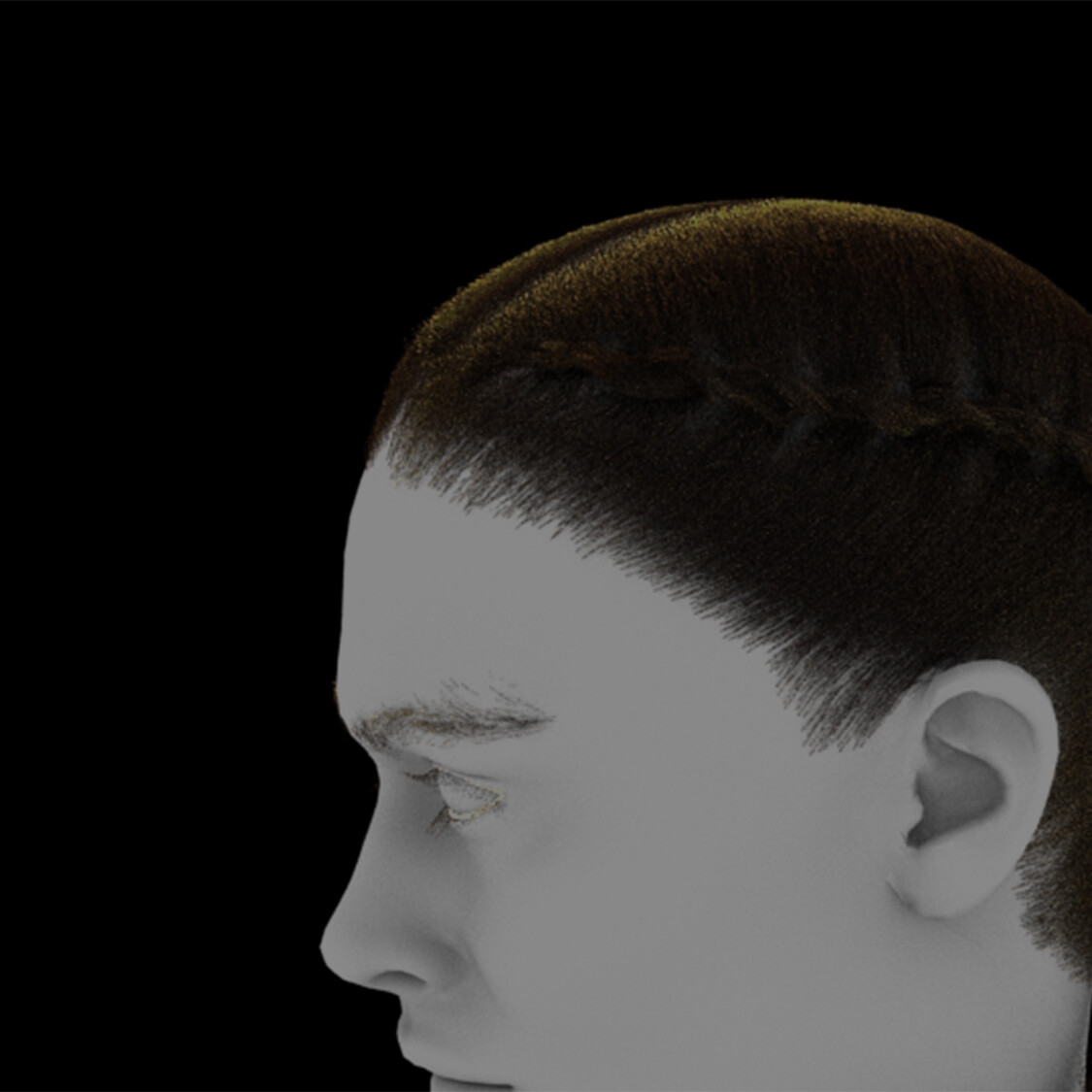 Niswal Nadh - Xgen hair study part 3 (Viking Dutch braid)