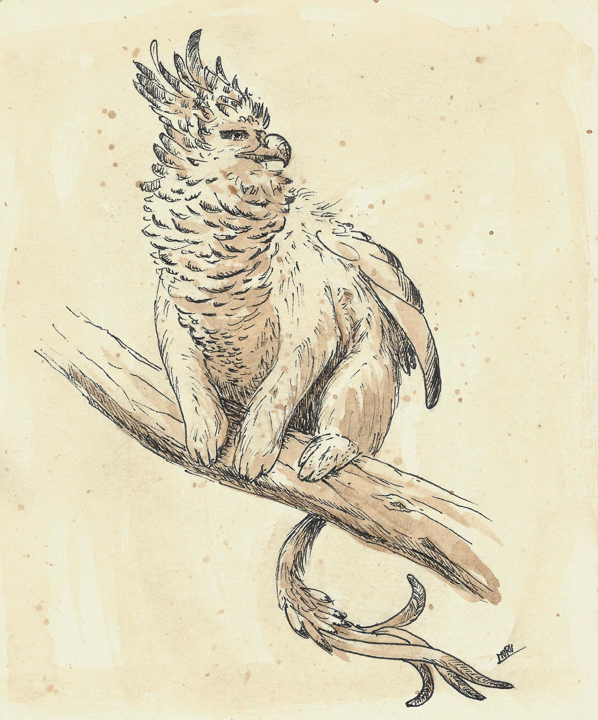 ArtStation - Monkey-bird hibrid