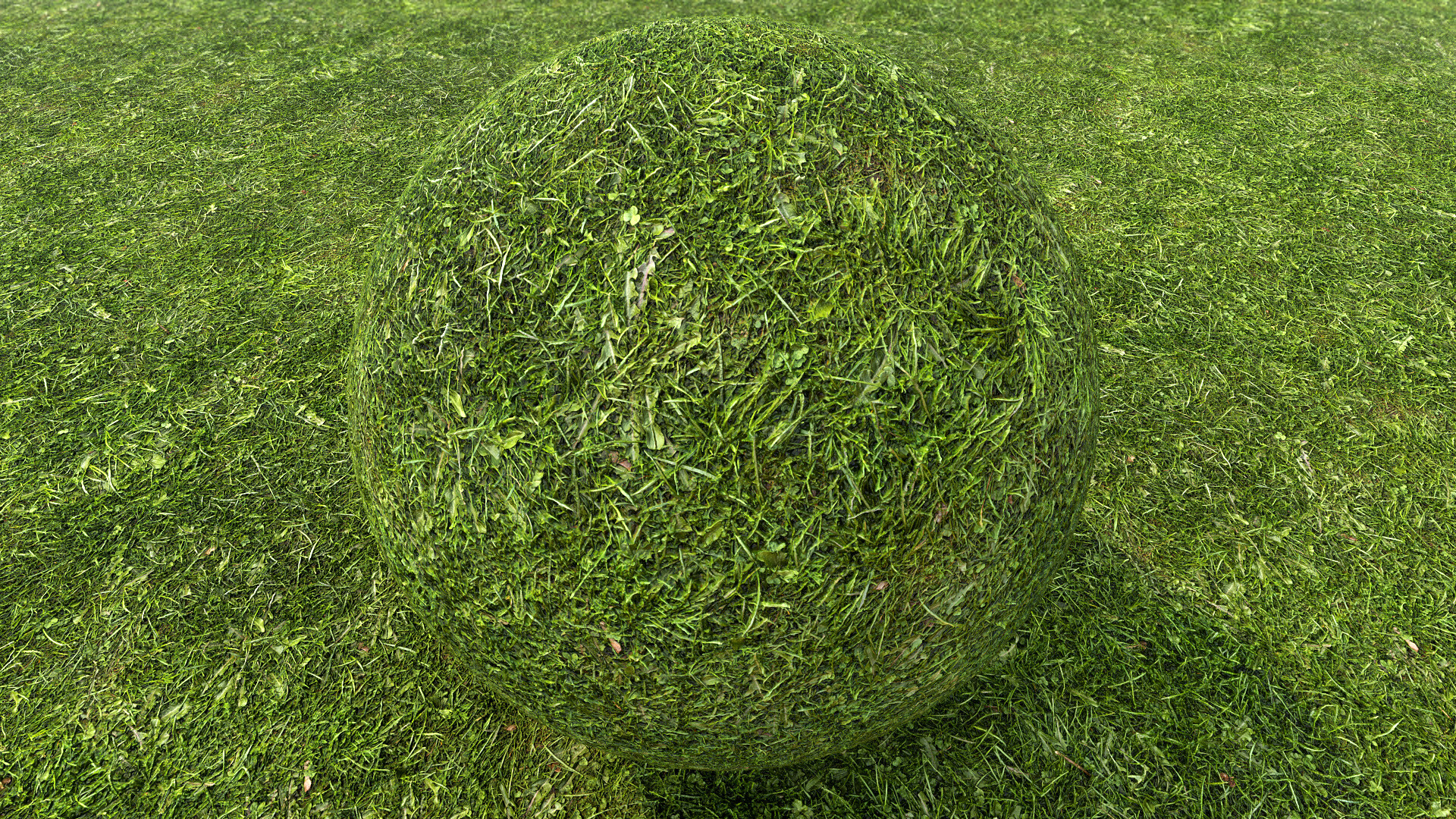 ArtStation - Grass - Photogrammetry based Environment Texture