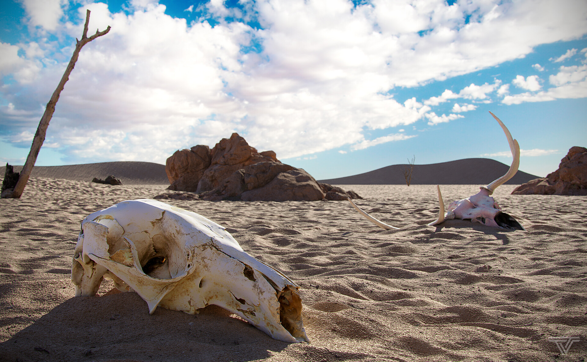 ArtStation - CGI - DESERT