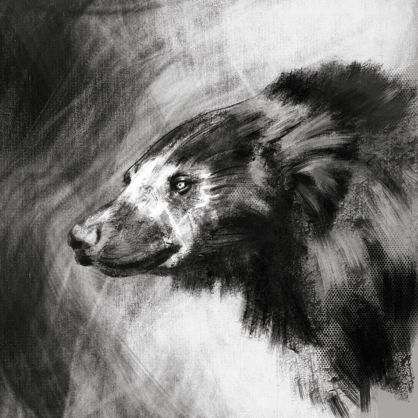 ArtStation - Sloth Bear