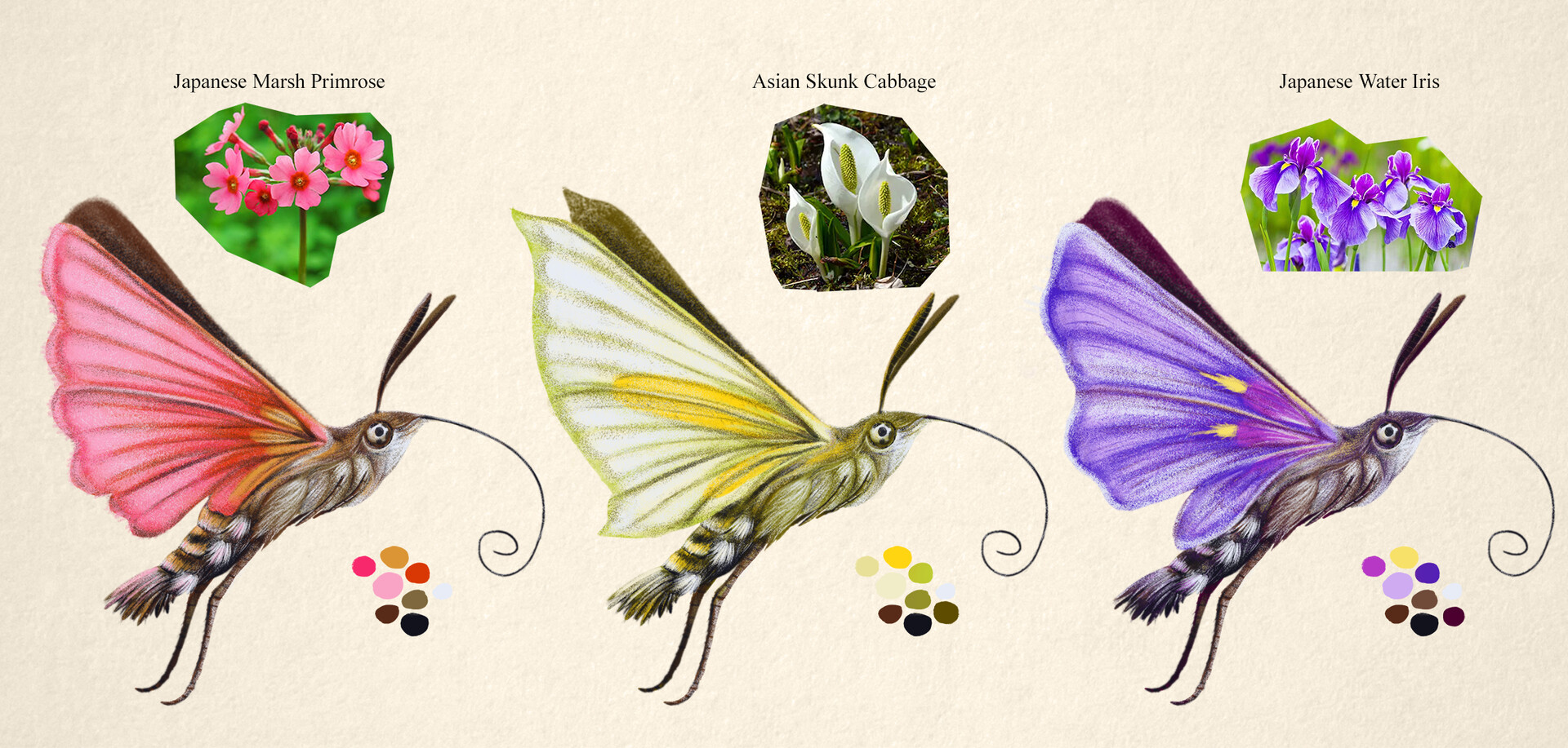 Adam _RL - Iris Hawk-Moth (Creature Concept)