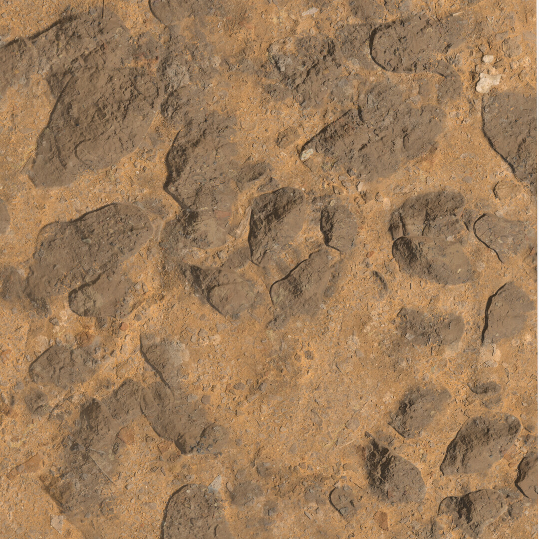 Nodi Ray - Rocky Sand Material