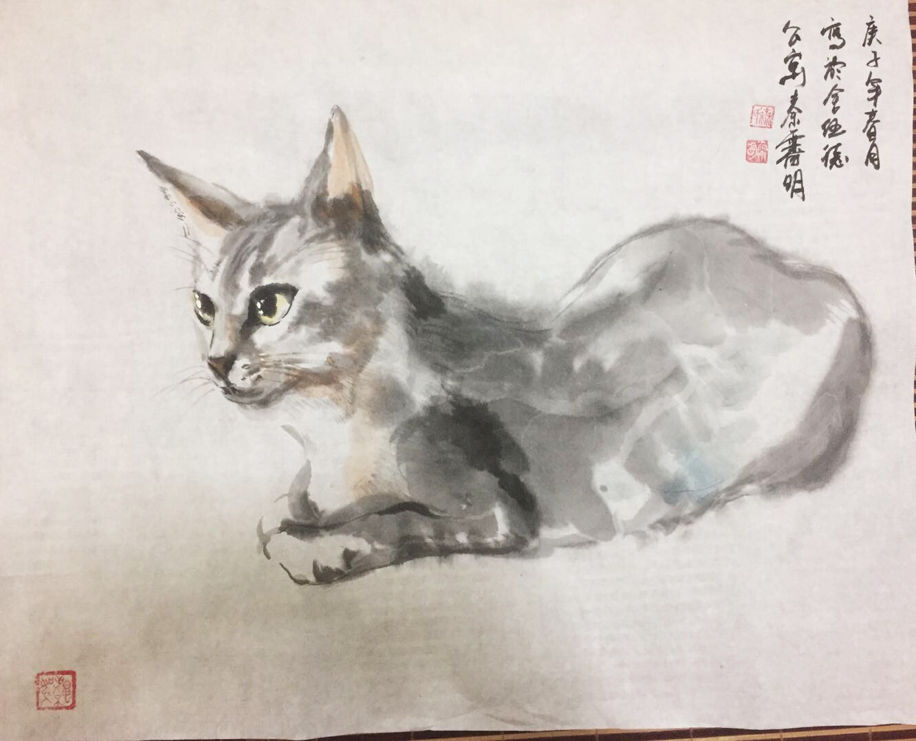 ArtStation - Cat sketching series