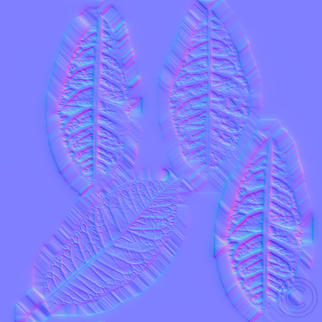 Jack Hocking - VR Foliage - Croton - Codiaeum variegatum sp