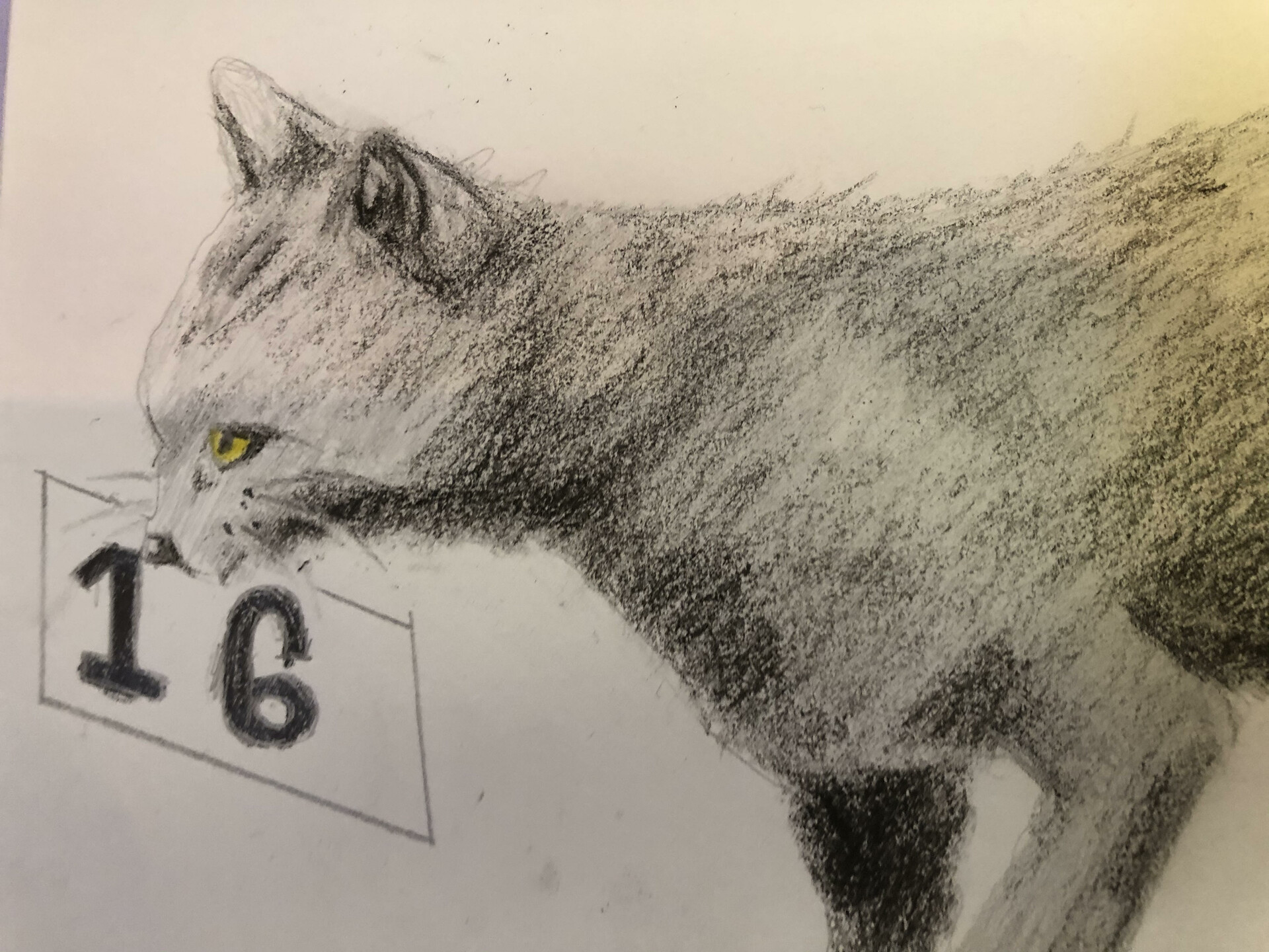 ArtStation - Max the Cat