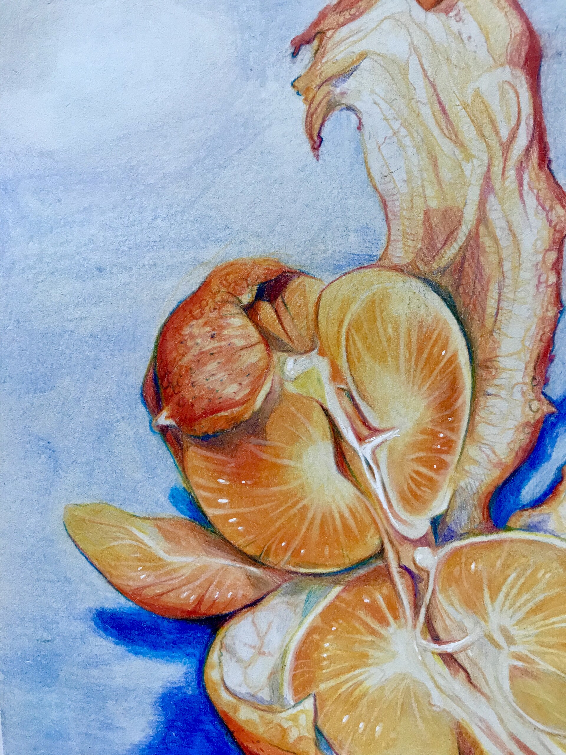 ArtStation - Orange Observational study