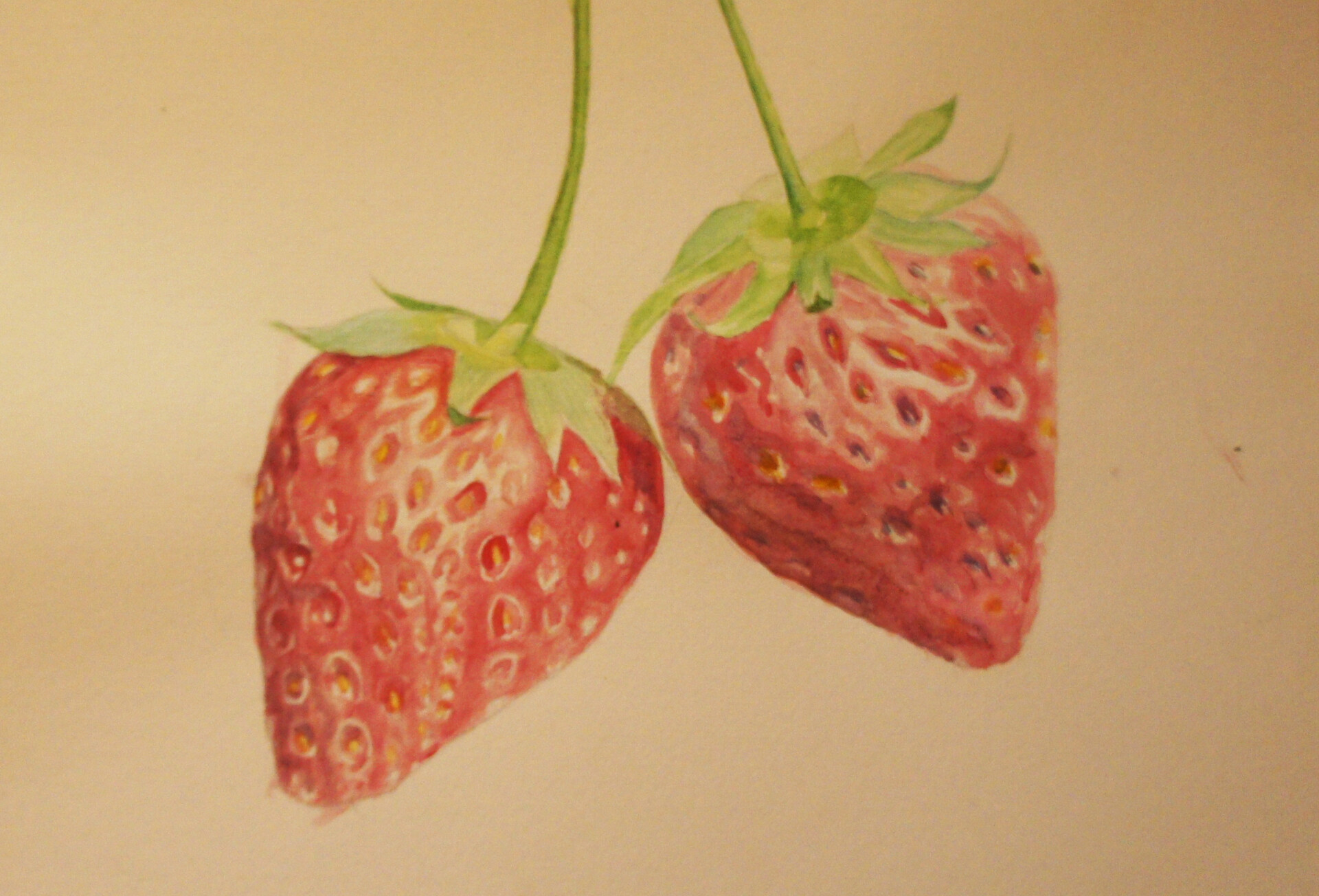 Ria Chen - Strawberry - Water Color Practise