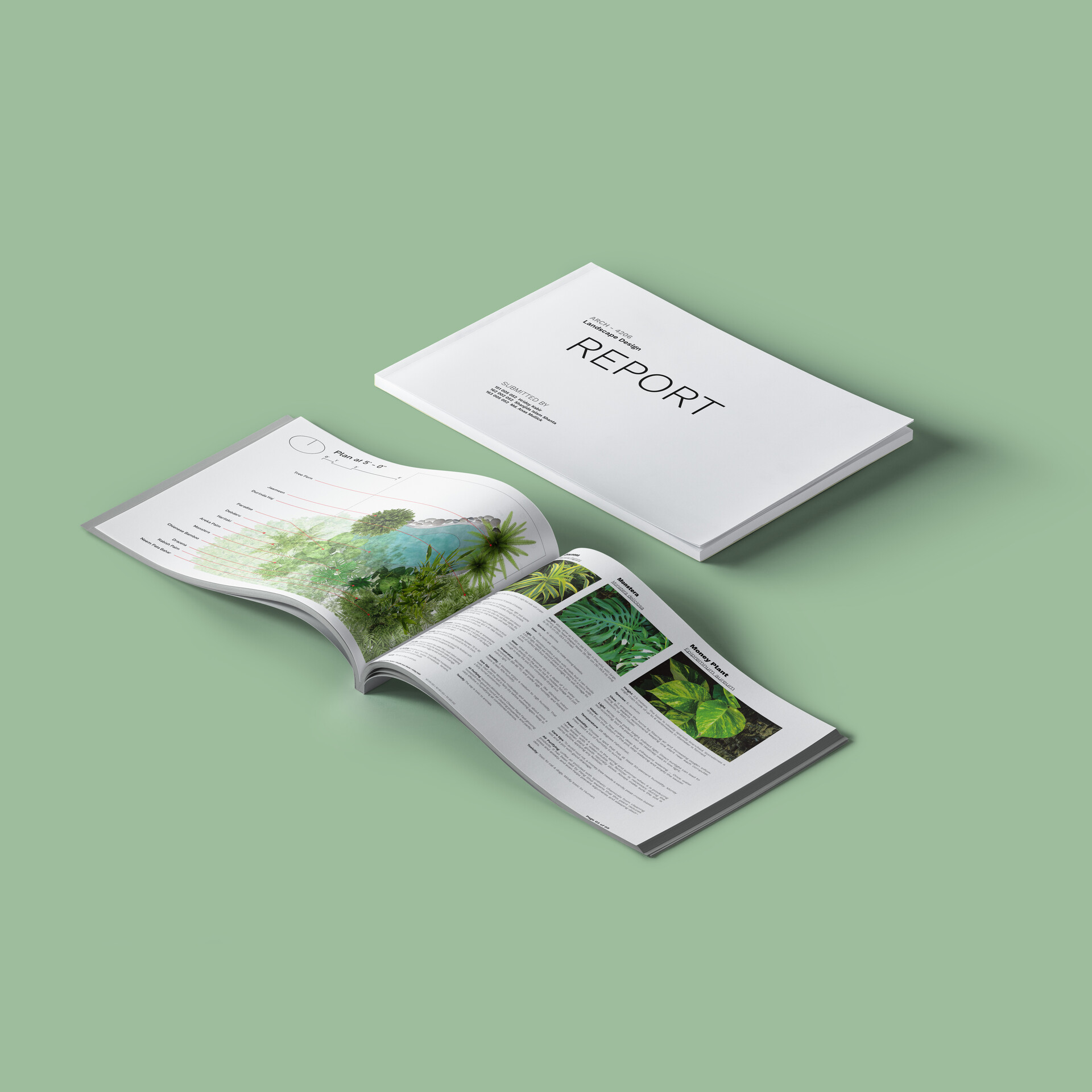 ArtStation - Report Design —Landscape Design