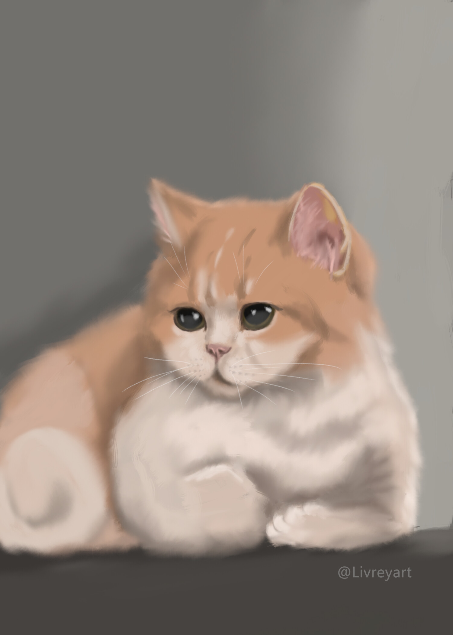 how to draw furry cat